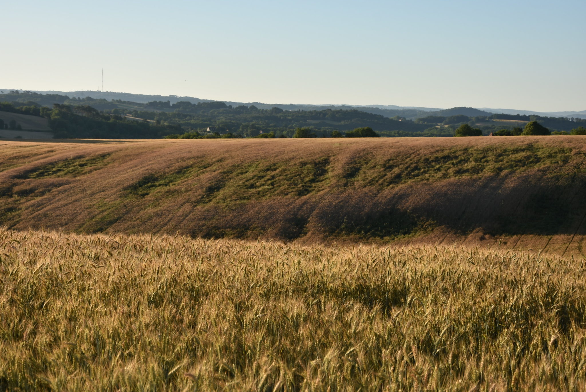 Découvrir Paunat – Paunat